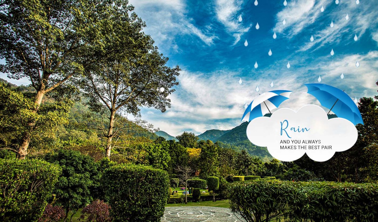 Looking for one of the Best Luxury Resorts in Corbett| Contact Solluna