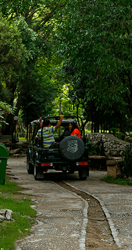 Resorts in Corbett | Best Luxury Resort in Jim Corbett