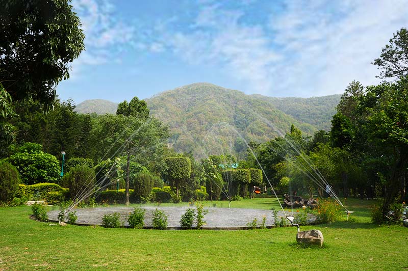 Jim Corbett National Park Booking- Wildlife and Jungle Resorts in ...