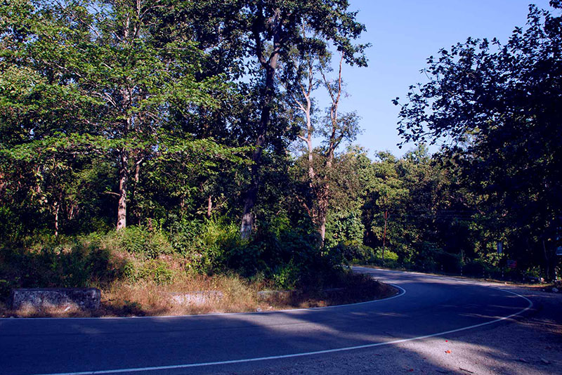 Gypsy Ride in Jim Corbett national park- Book Tour Packages-The Solluna ...