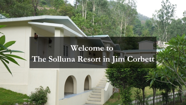 Resorts in Corbett | Best Luxury Resort in Jim Corbett