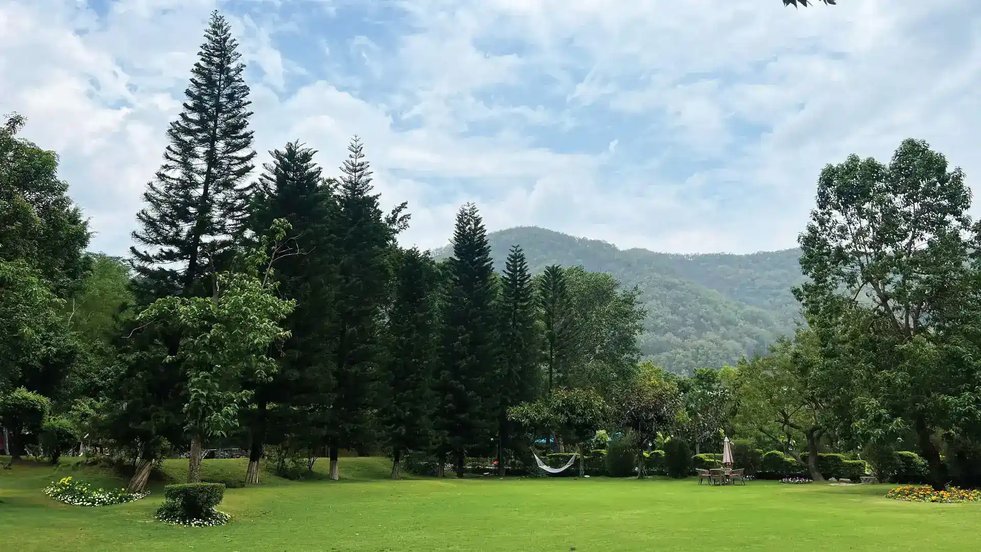 Best Resorts in Corbett | Luxury Resort in Jim Corbett